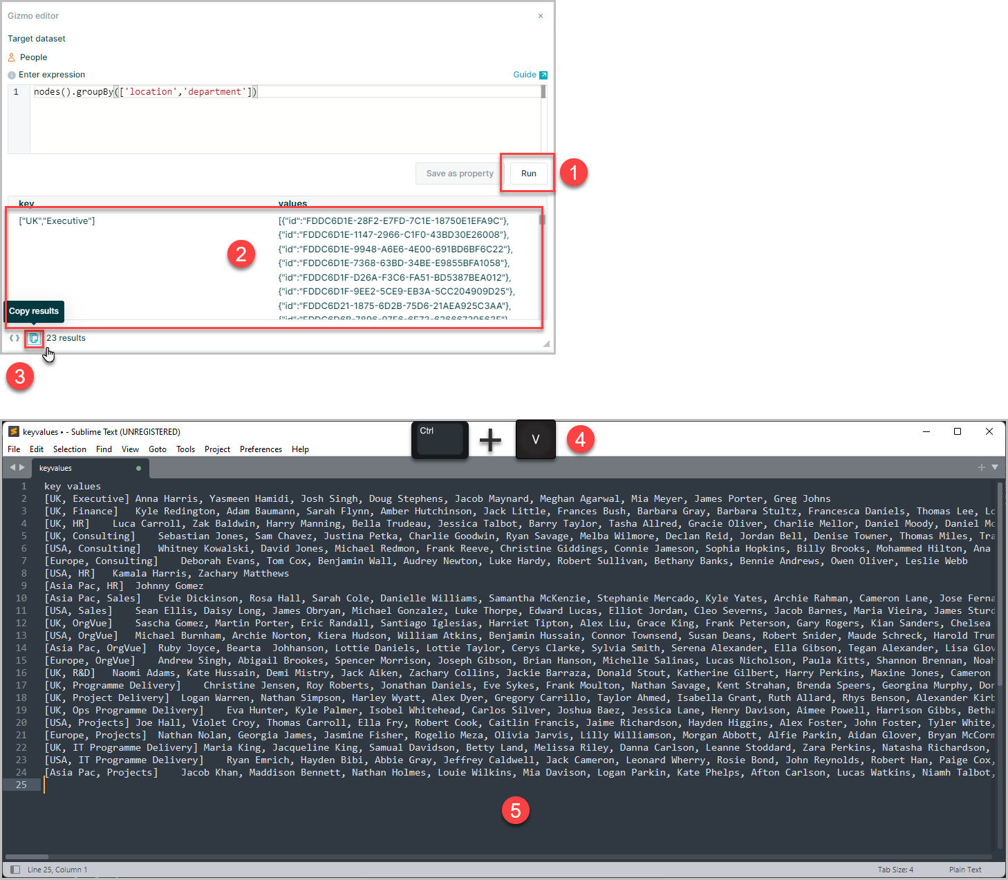 Grouping collections | Orgvue Gizmo Cookbook