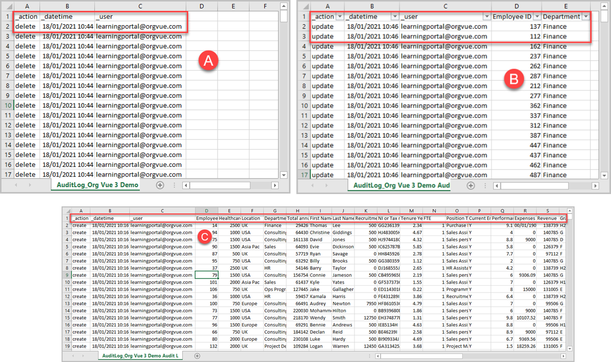 Audit Log | Orgvue Settings User Guide